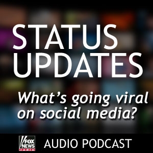 VIRAL VIDEOS: The Best of 2013 | Status Updates-Videos Gone Viral