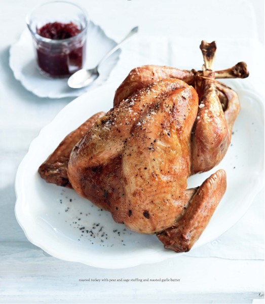 Fox & Food: Succulent Turkey and other Thanksgiving Tips from Top Chefs ...