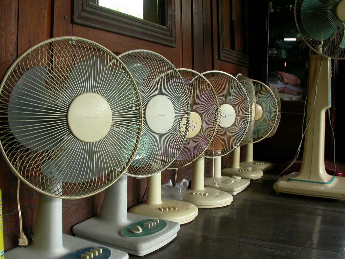 The Jury is Out on Electric Fans | News